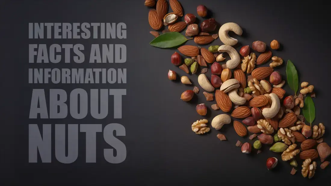 Interesting facts about nuts that you may not know - Get Ready For ...